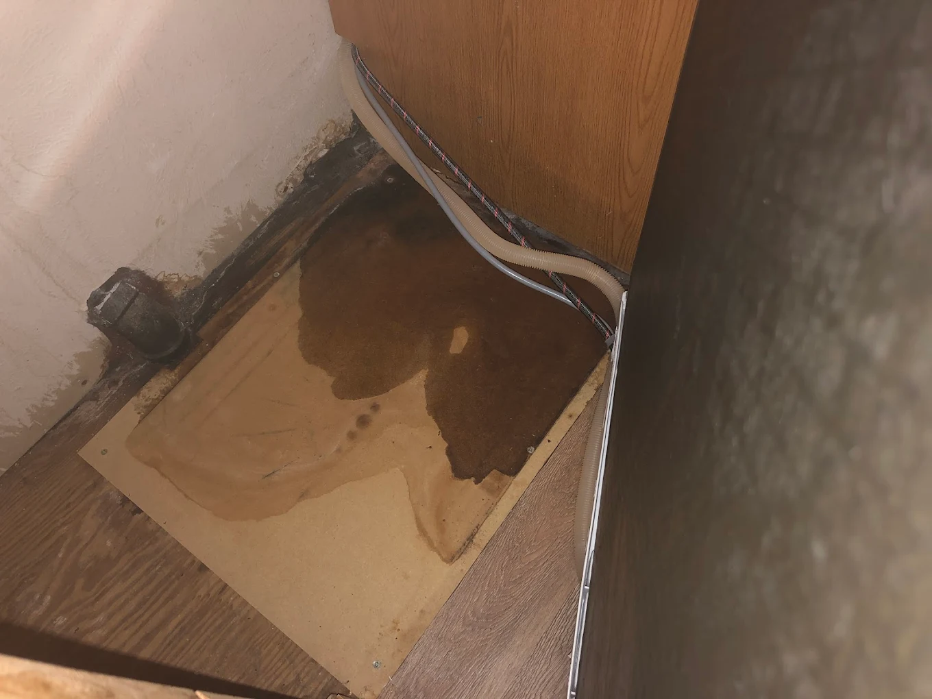 Restoration 1 of Flatirons Highlights Critical Mold Prevention During ...